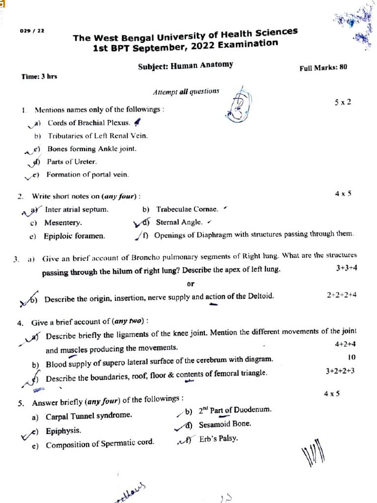 1st Year BPT 2022 Question Papers | PDF | Lung | Vein
