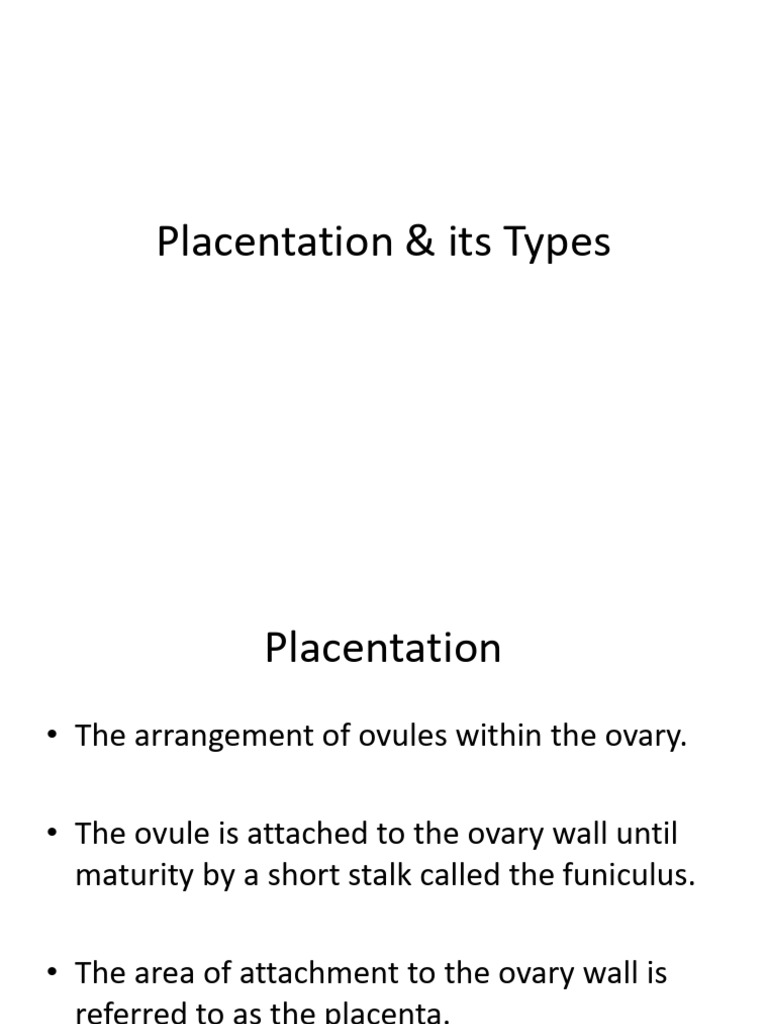 Types of Placentation in Plants | PDF