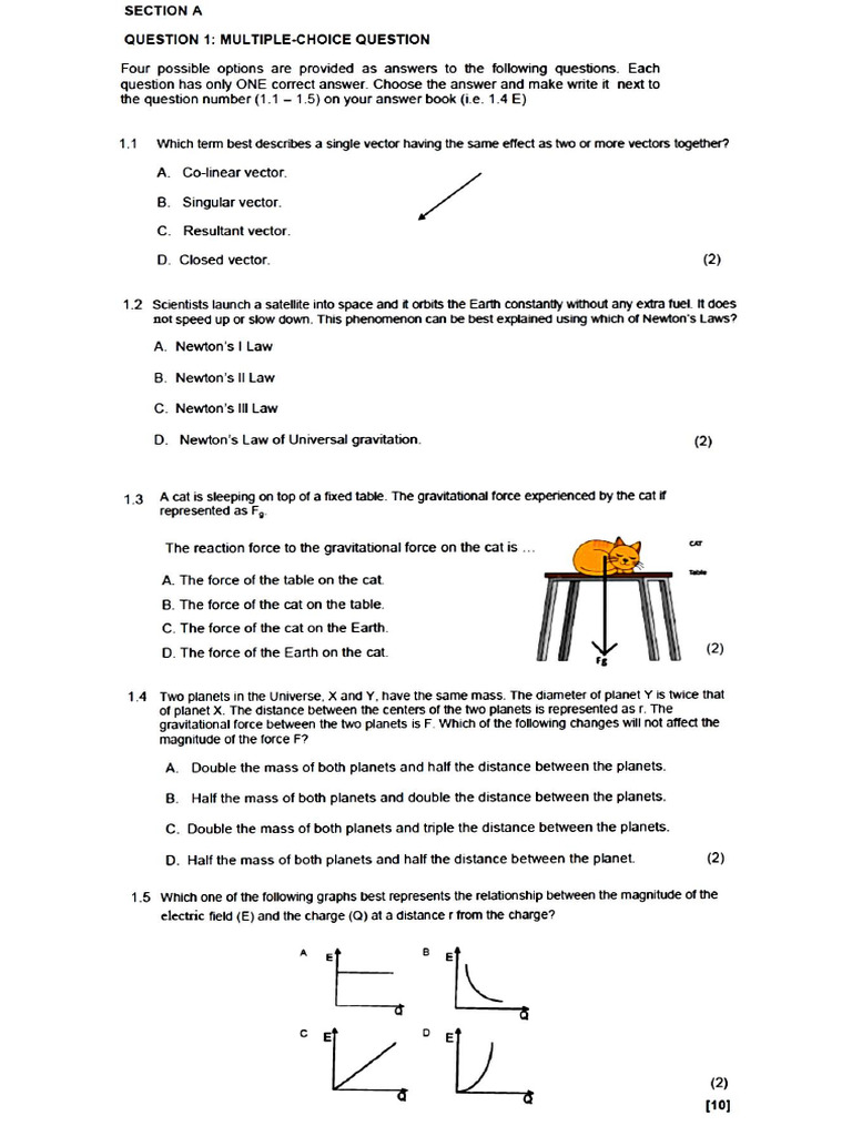 Test 5 | PDF