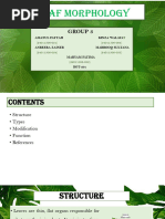 8 Leaves | PDF | Leaf | Plants
