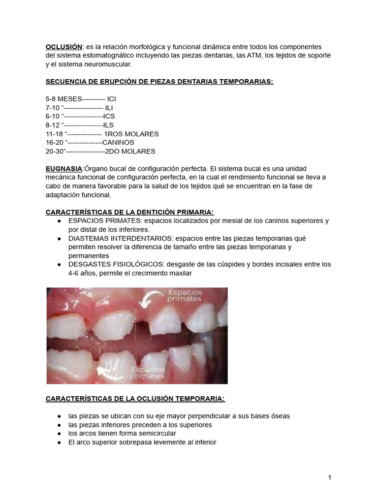 Oclusion 24-6 | PDF | Diente | Ramas de Odontología