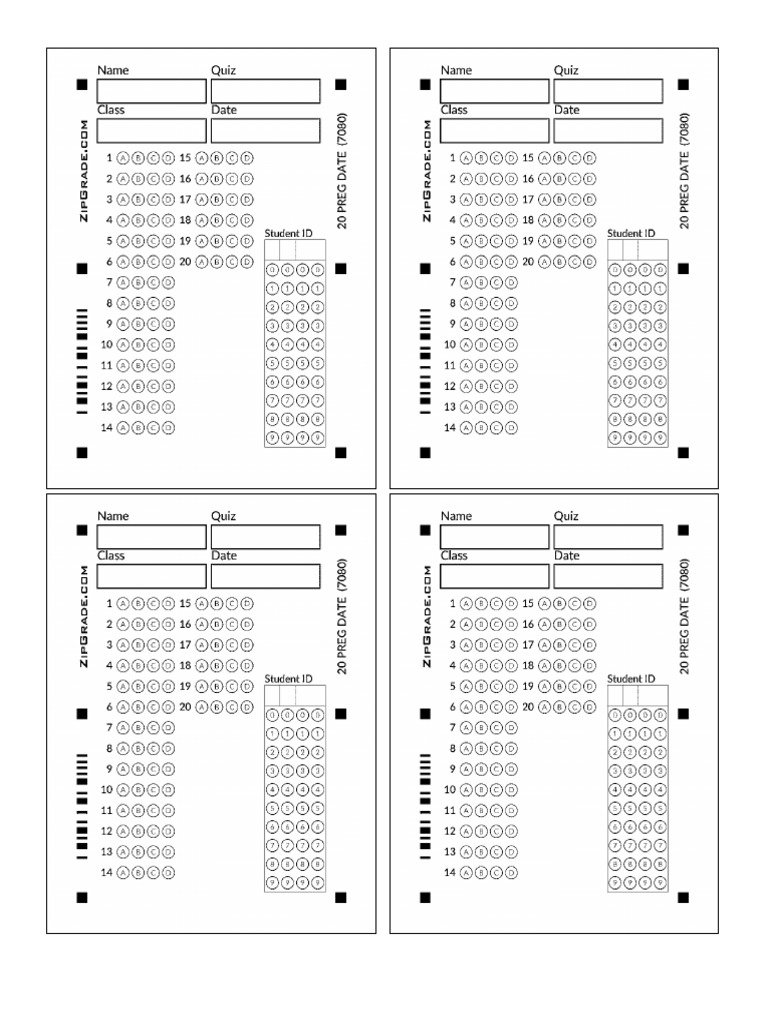 Hoja Rtas Zip Grade 20 Preg 2024 | PDF