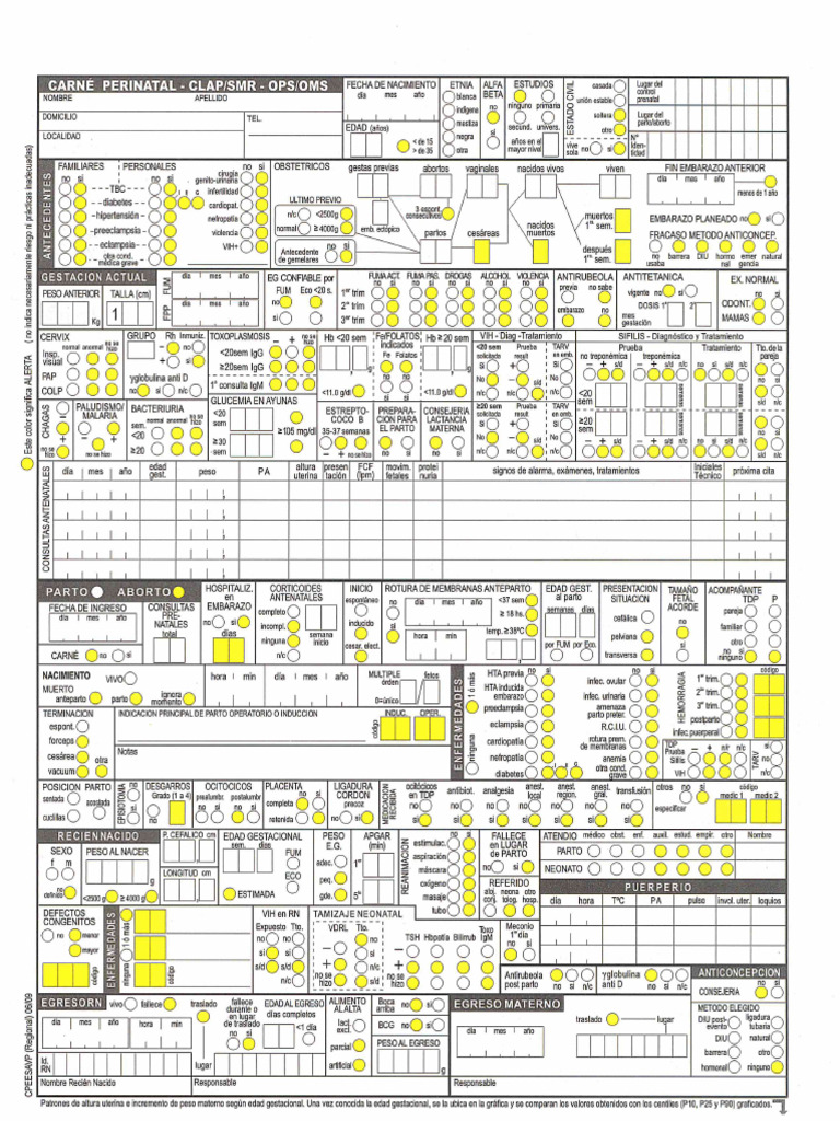 Carnet Perinatal Anverso | PDF