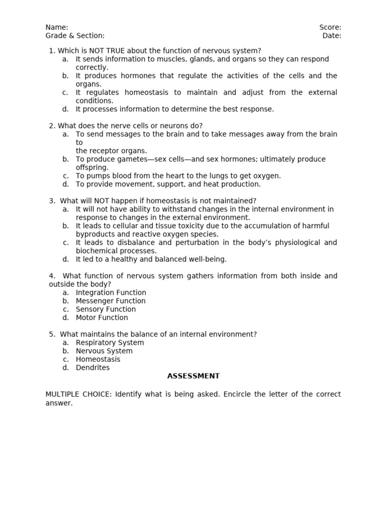 Assessment 1 Pdf