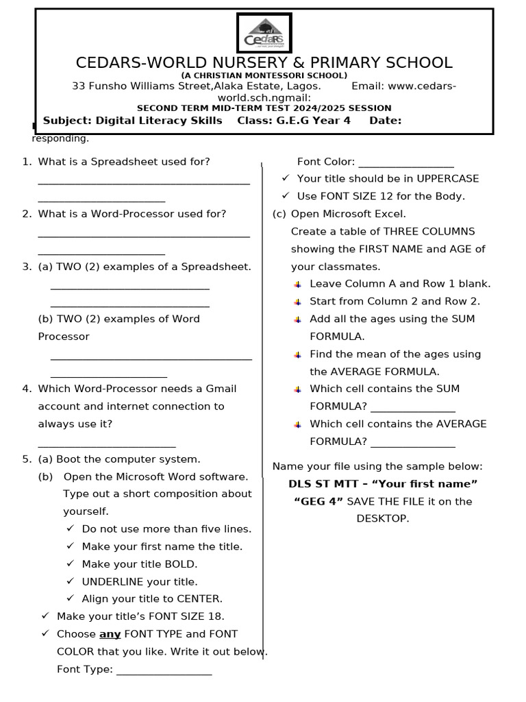 Digital Literacy Skills Test Guide | PDF | Word Processor | Spreadsheet