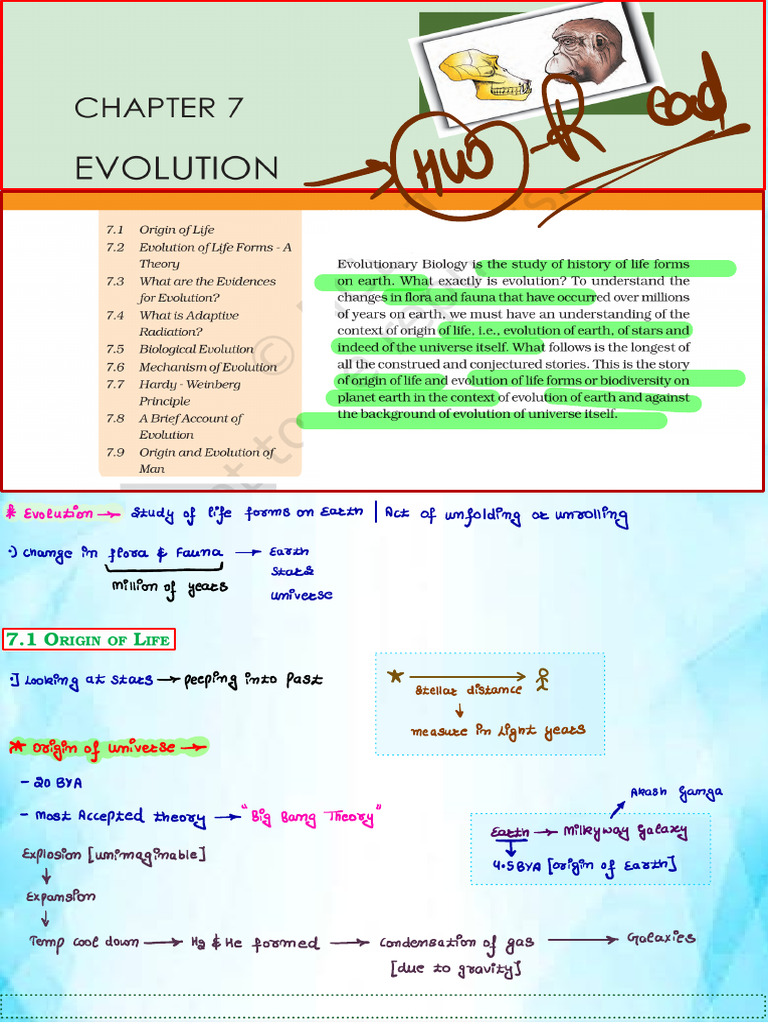 Complete Class 12 Biology - Part 2 | PDF | Dna | Plasmid