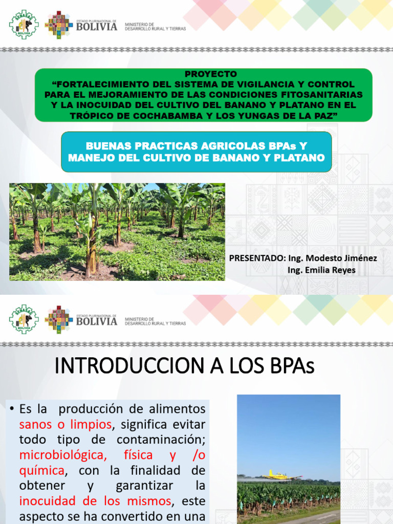 BPAS | PDF | Fertilizante