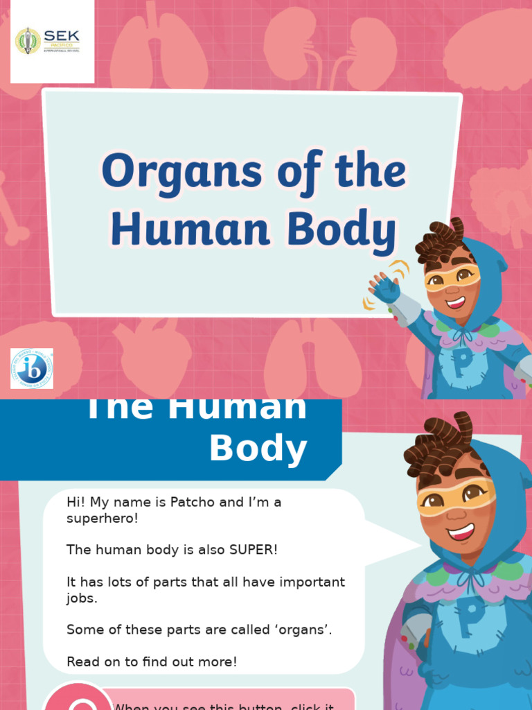 T SC 1680080032 Eyfs Organs of The Human Body Powerpoint Ver 2 | PDF ...