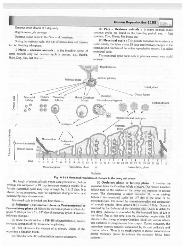 Errorless Biology Part 2-57 | PDF