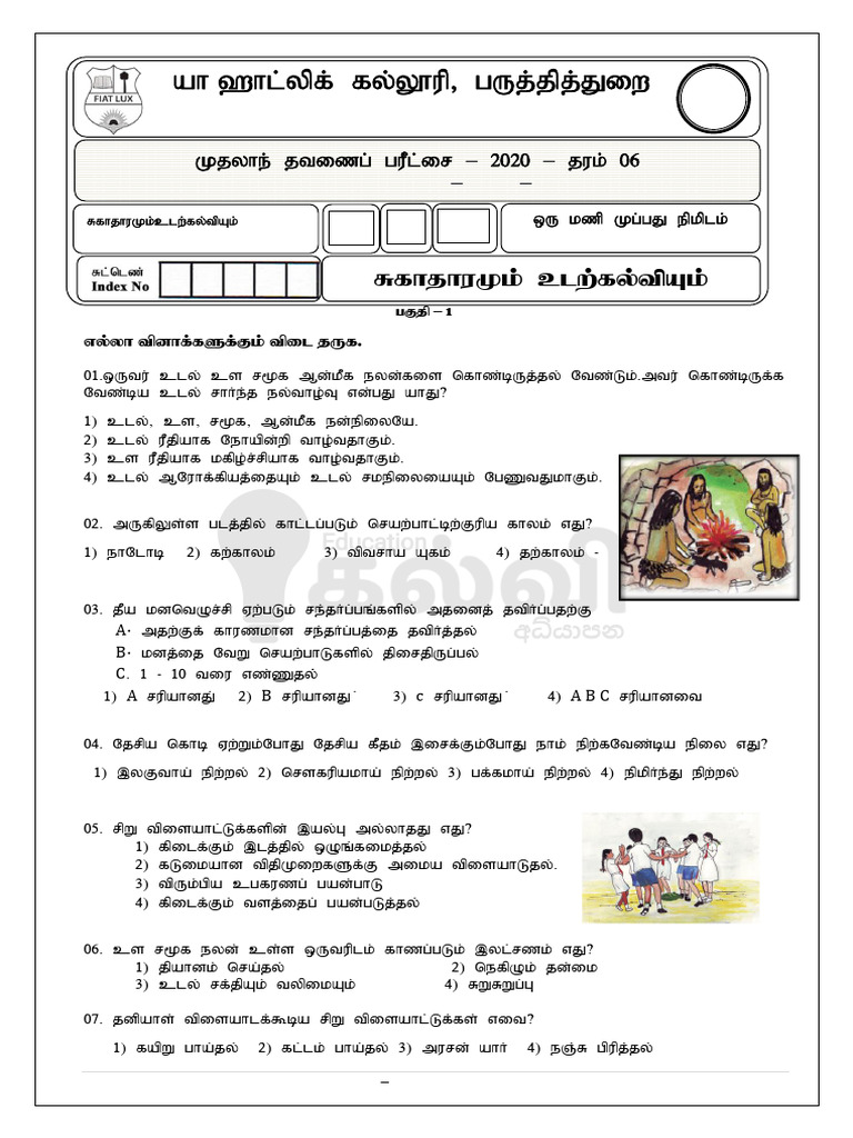 Gr6 Ta Health 2019 Term 1 | PDF