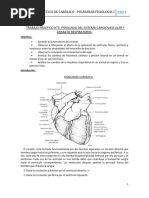 Fisiología Cardíaca: Inotropismo y Más | PDF