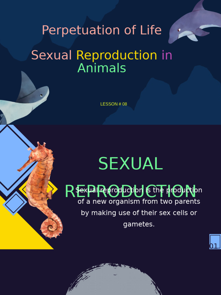 Sexualreproduction Animals | PDF | Sexual Reproduction | Fertilisation