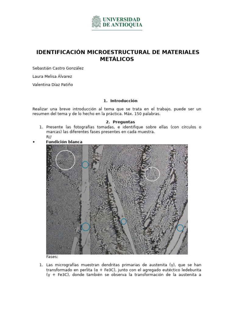 Informe G1 IMM | PDF | Hierro fundido | Materiales