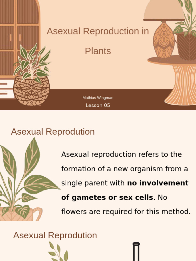 LESSON-5_ASEXUAL-REPRODUCTION-OF-PLANTS-1 | PDF | Plant Reproduction ...