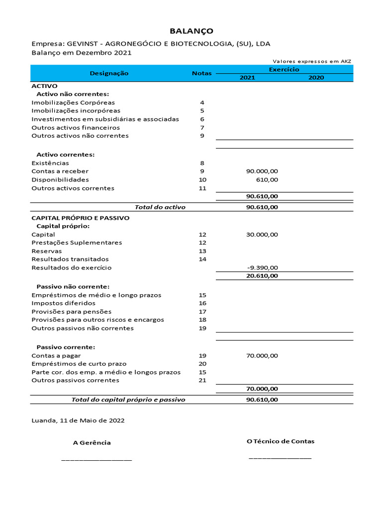 Balanço Patrimonial GEVINST 2021 | PDF