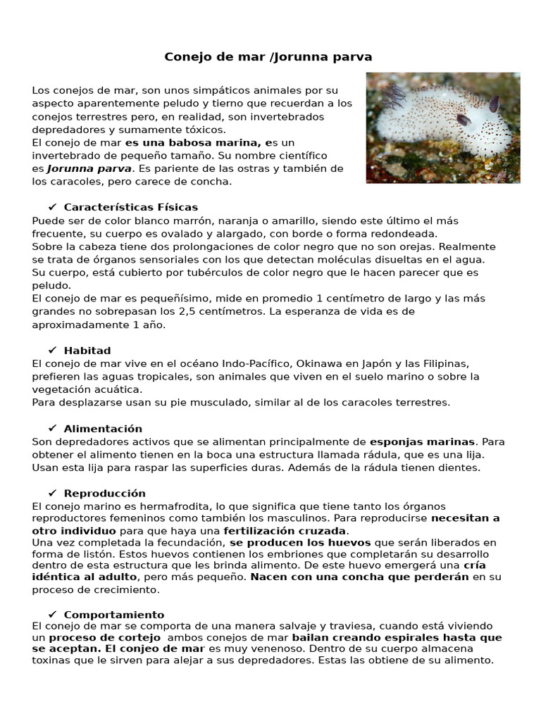 Conejo de mar: características y toxicidad | PDF | Huevo | Zoología