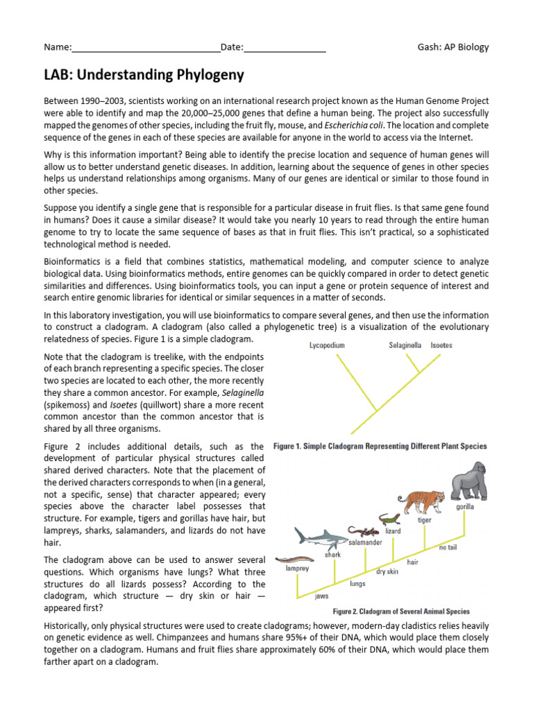 LAB - Understanding Phylogeny | PDF | Bioinformatics | Gene