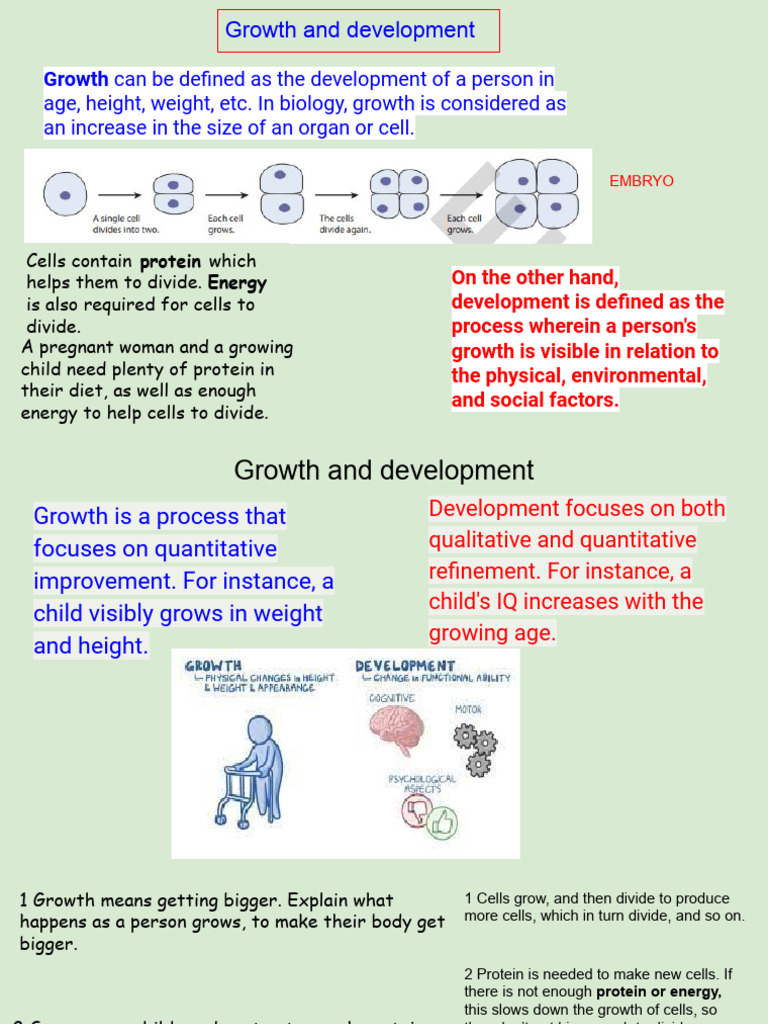 Growth and Development + Smoking Effects GR 7 | PDF | Smoking | Cigarette