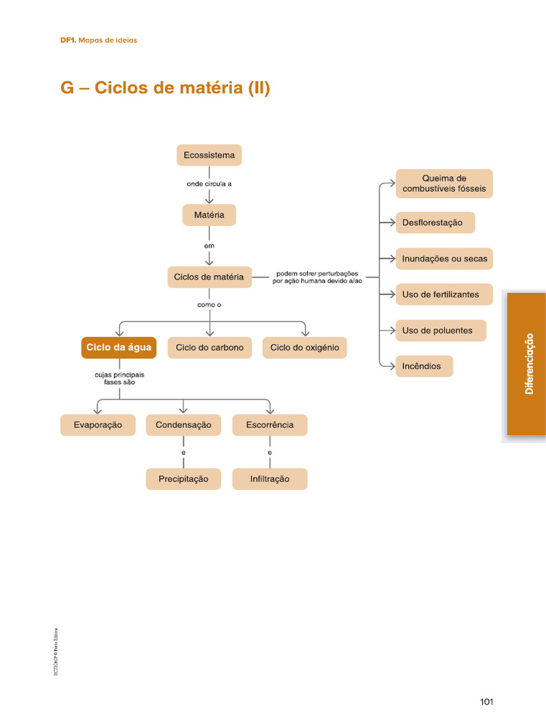 Ectic8 Mapa Ideias g2 | PDF