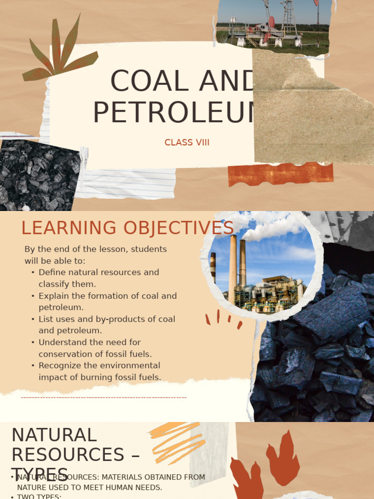 Coal and Petroleum Class VIII | PDF | Fuels | Petroleum