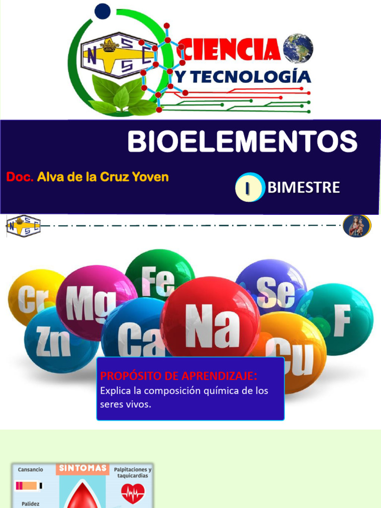 I - B 02 Bioelementos | PDF | Ácido | Calcio