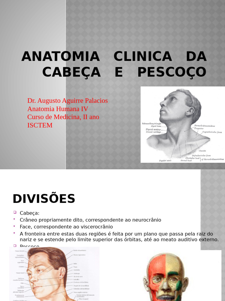 Anatomia Clínica da Cabeça e Pescoço | PDF | Boca | Anatomia dos primatas