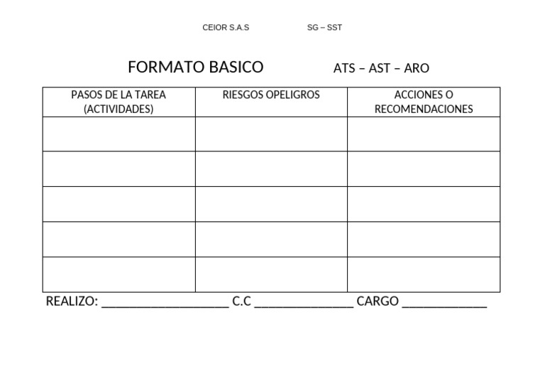 Formato Basico Ats | PDF