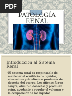 Fármacos Nefrotóxicos y su Manejo | PDF | Tratamientos médicos | Medicina