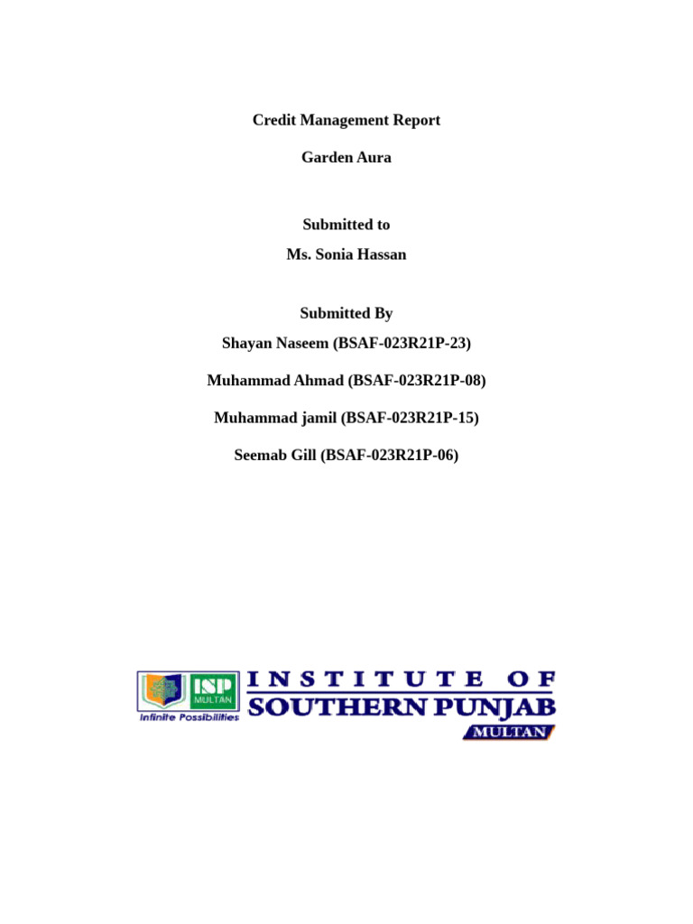 Credit Management Report Final | PDF