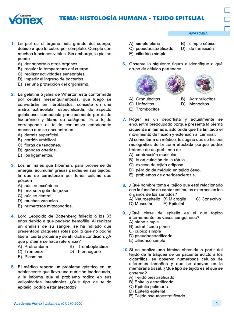 Anatomia Final | PDF | Epitelio | Digestión