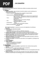 Comprendre le syndrome myogène | PDF | Contraction du muscle | Muscle