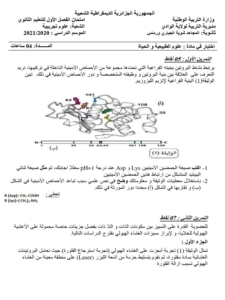 dzexams-3as-sciences-3616886 | PDF