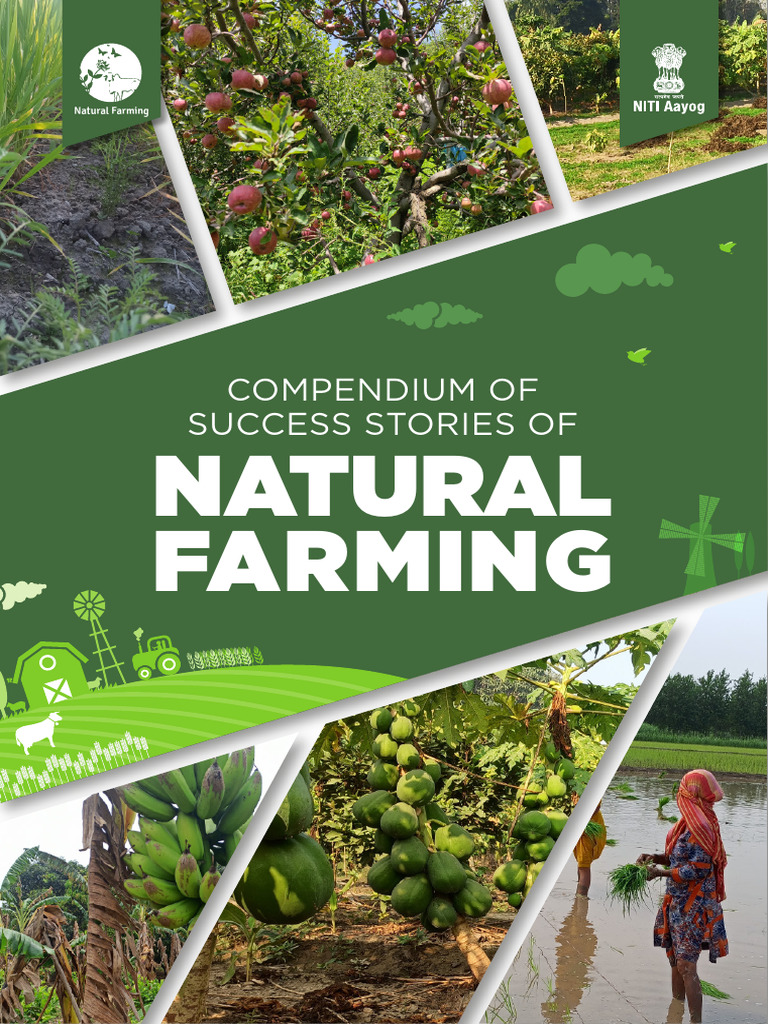 Success Stories in Natural Farming | PDF | Agriculture | Soil