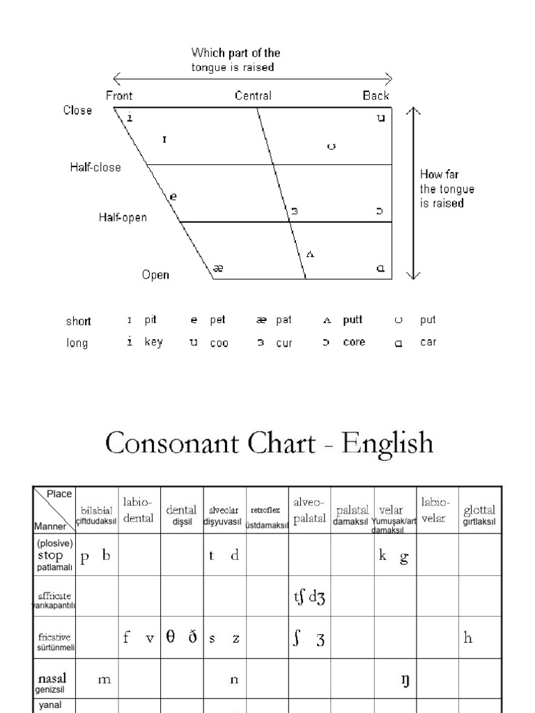 Phonetics Consonants | PDF