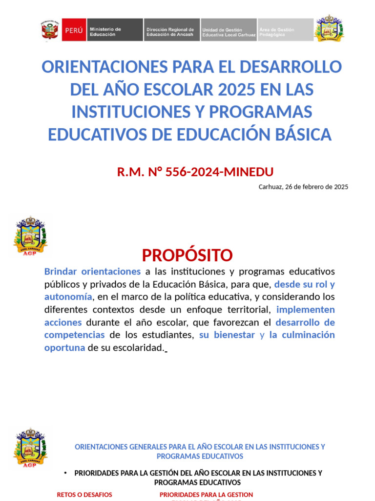 RM 556-2024-Minedu | PDF | Pedagogía | Maestros