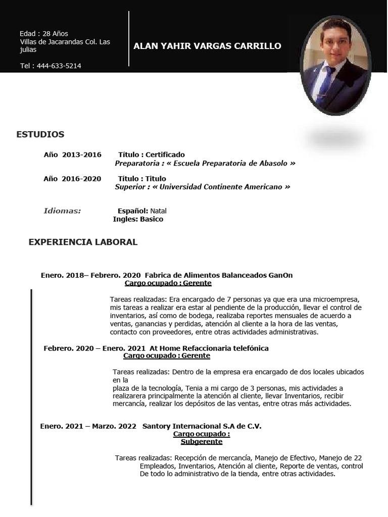 Curriculum Alan Ya Hir Vargas Carrillo Actual | PDF | Economias