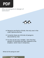 Penguin Life Cycle Stages Explained | PDF | Penguin | Birds