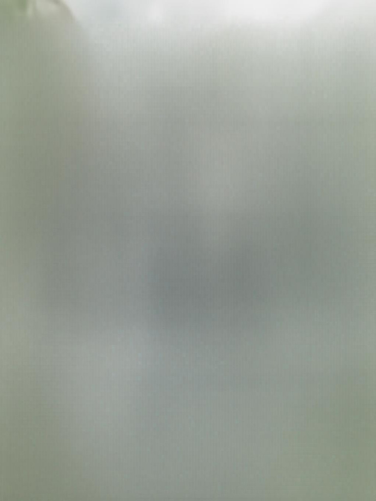 Kir Dugun Salon Ornek Gorsel | PDF