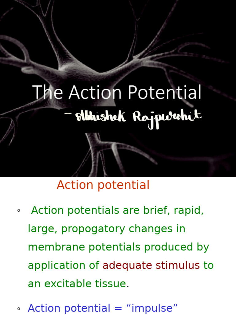 Document From Itz Abhishek Rajpurohit | PDF | Depolarization | Action Potential
