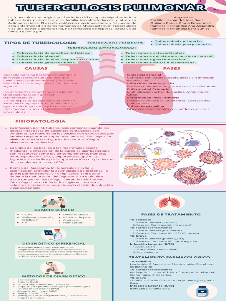 Infografía Tuberculosis | PDF | Tuberculosis | Mycobacterium
