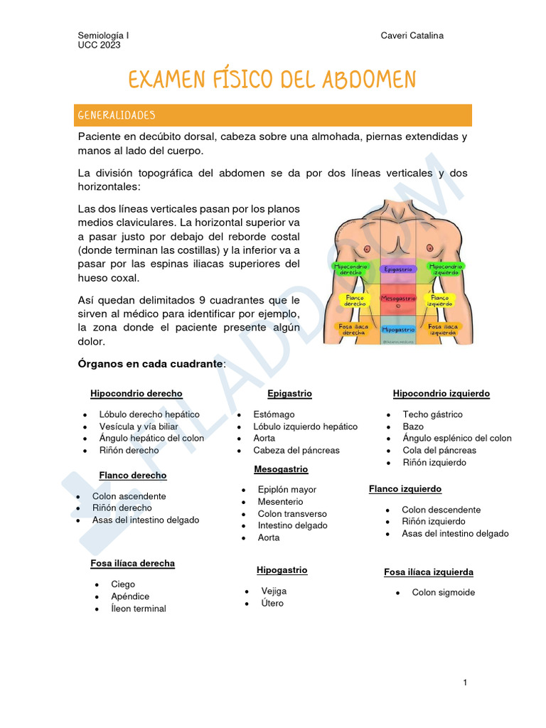 Examen Fisico Del Abdomen | PDF | Abdomen | Vesícula biliar