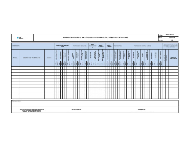 Formato Inspeccion EPPs | PDF