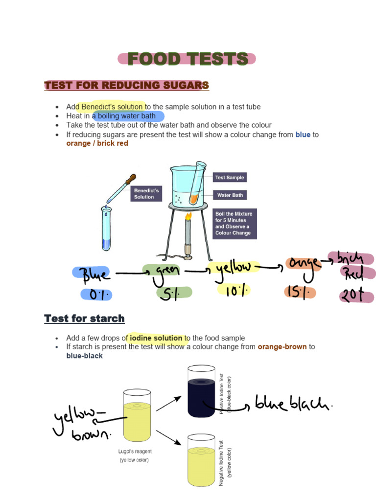 Food Tests | PDF