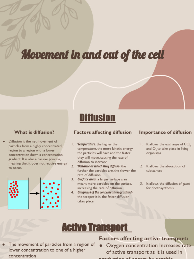Movement in and Out of Cells Summary | PDF | Diffusion | Cell Membrane