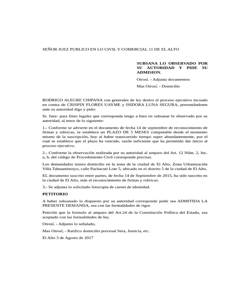 Subsana Lo Observado | PDF