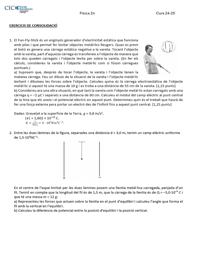 Exercicis de Consolidació | PDF