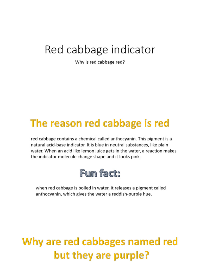 Red Cabbage: Nature's pH Indicator | PDF
