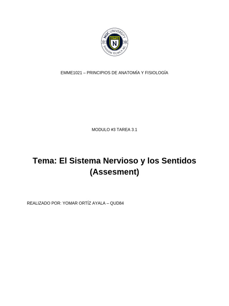 Sistema Nervioso y Sentidos Explicados | PDF | Sistema nervioso central ...