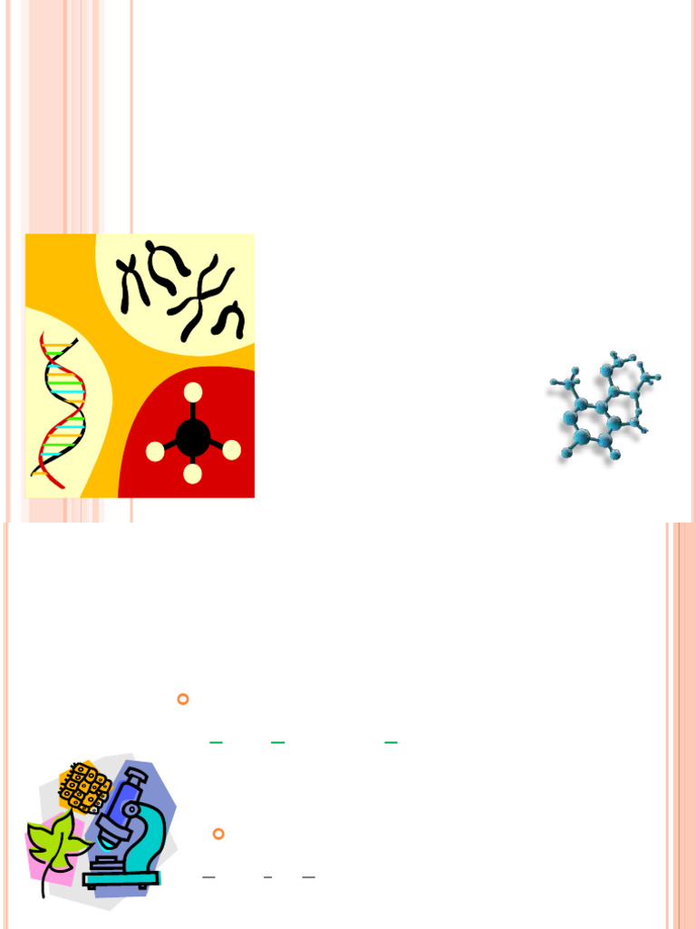 Cidosnuclicos Dnaerna 141016062644 Conversion Gate02 | PDF | RNA | Ácidos nucleicos