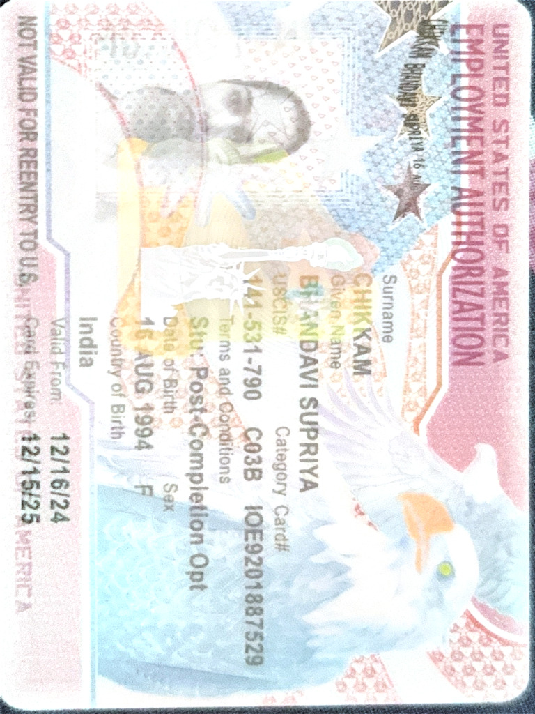 Employment Authorization | PDF